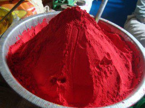 Holi Festival 2025 - Date, History, Significance, Images